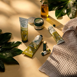 LáBIOS COSMéTICOS THE BODY SHOP BODY SHOP LIP PROTECTOR HEMP
