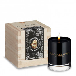 Maduro Leaf Aromatic Candle - Sabina